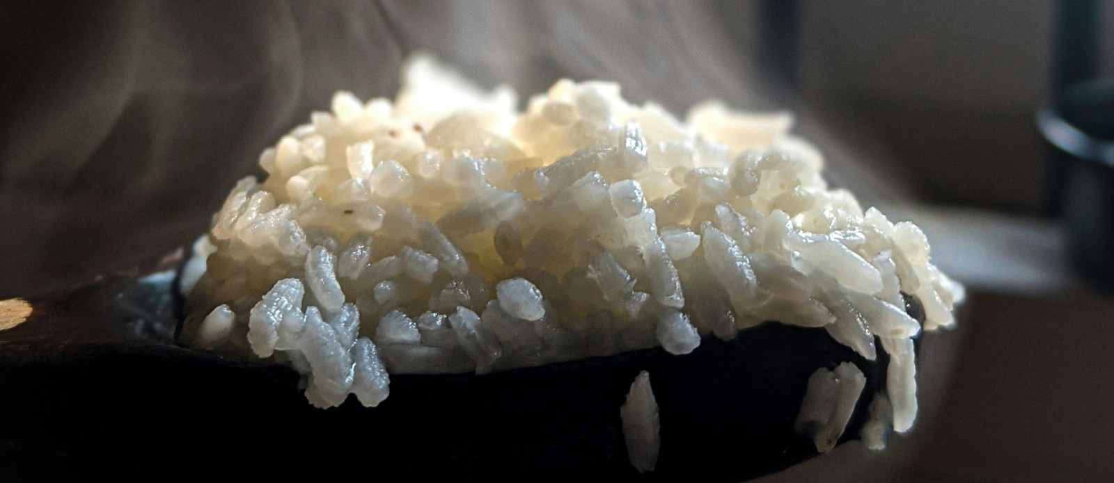 Say Rice! Discover 20 Facts and Recipes for a Miracle Food. - Quiz Treat